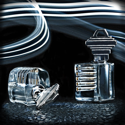 Clear Acrylic Practice Lock – OzHack